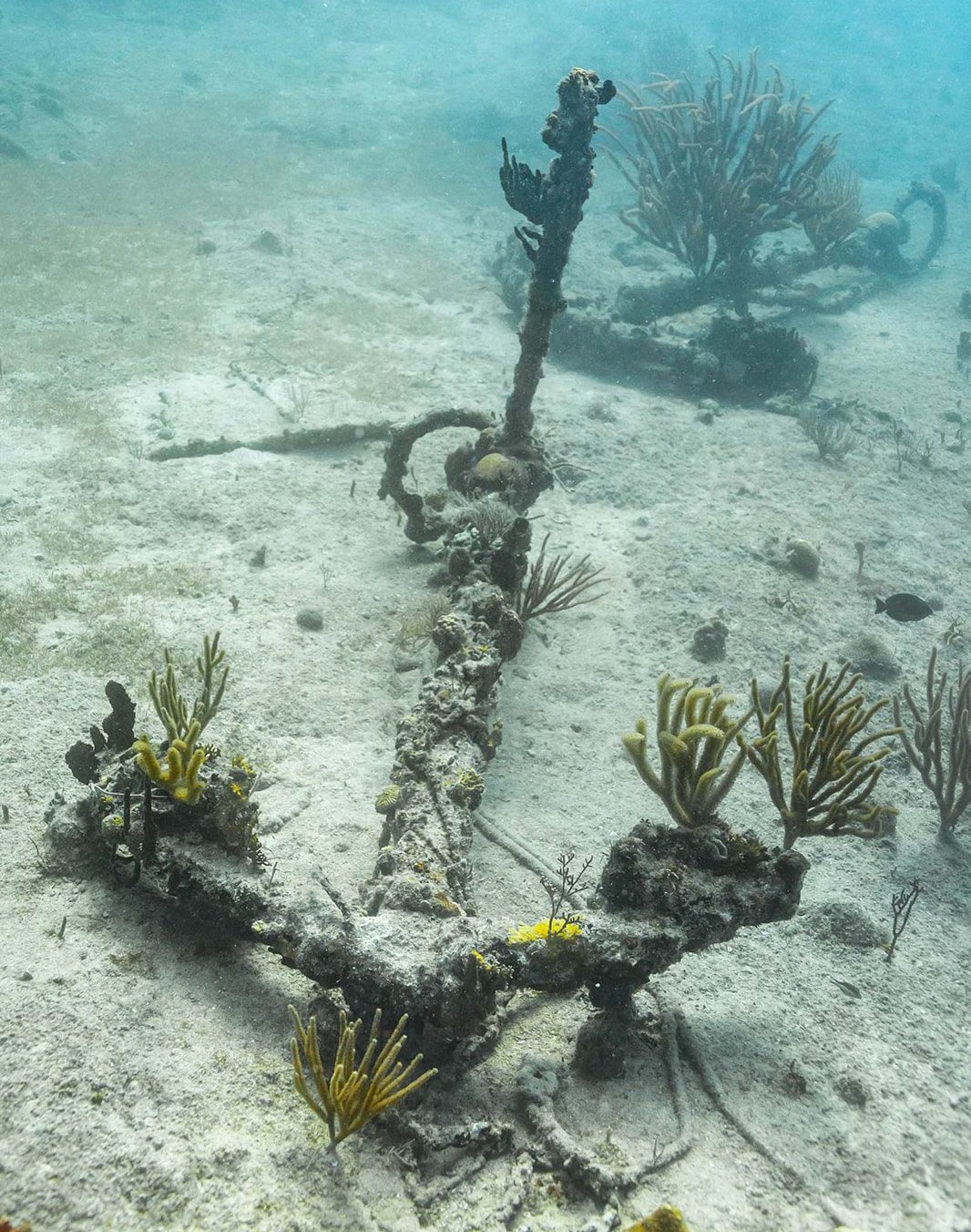 The Infamous Wreck of the RMS Rhone | UC Yacht Charters